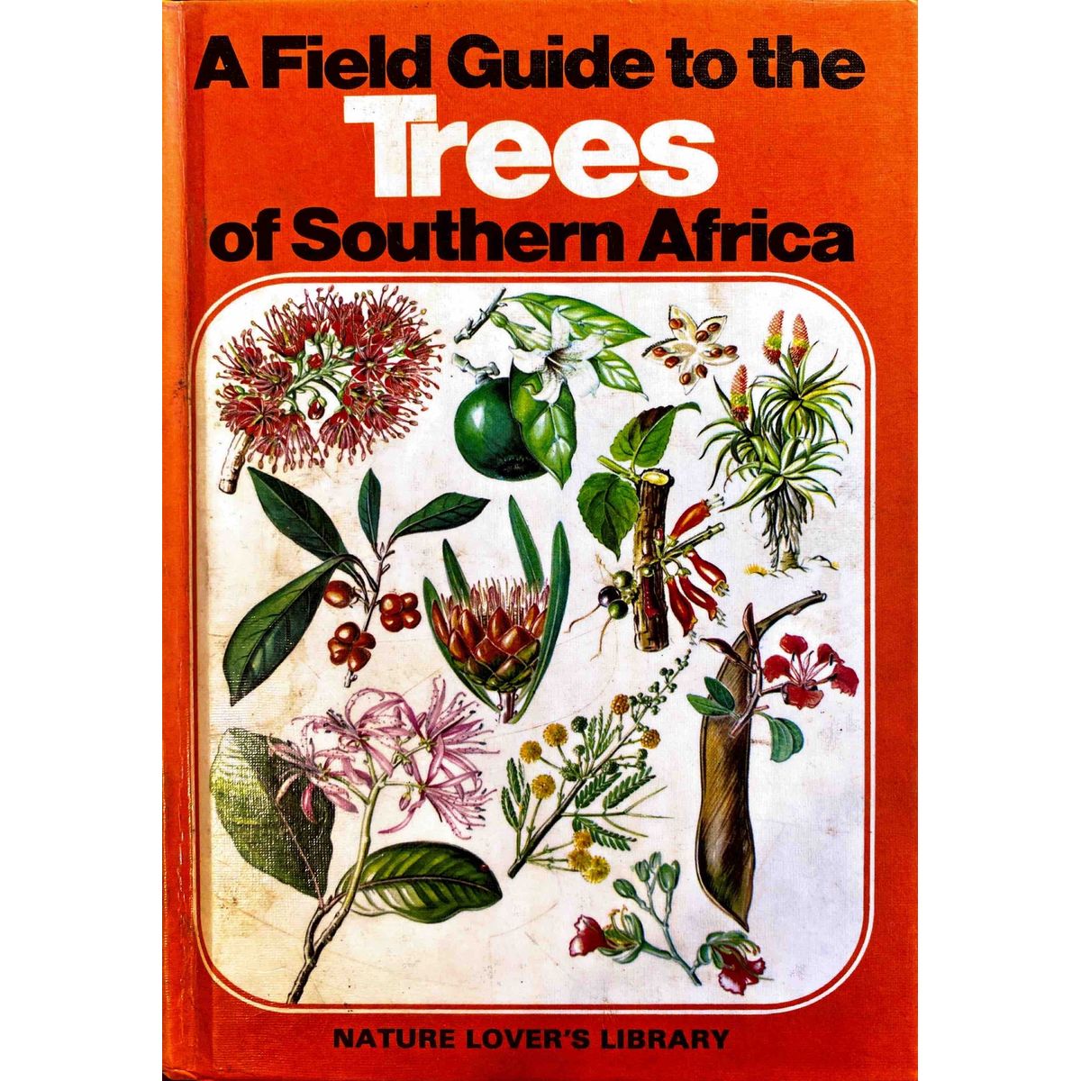 A Field Guide to Trees of Southern Africa by Eve Palmer | Fact and Fiction