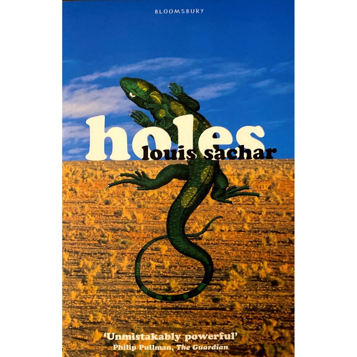 Holes by Louis Sachar | Fact and Fiction