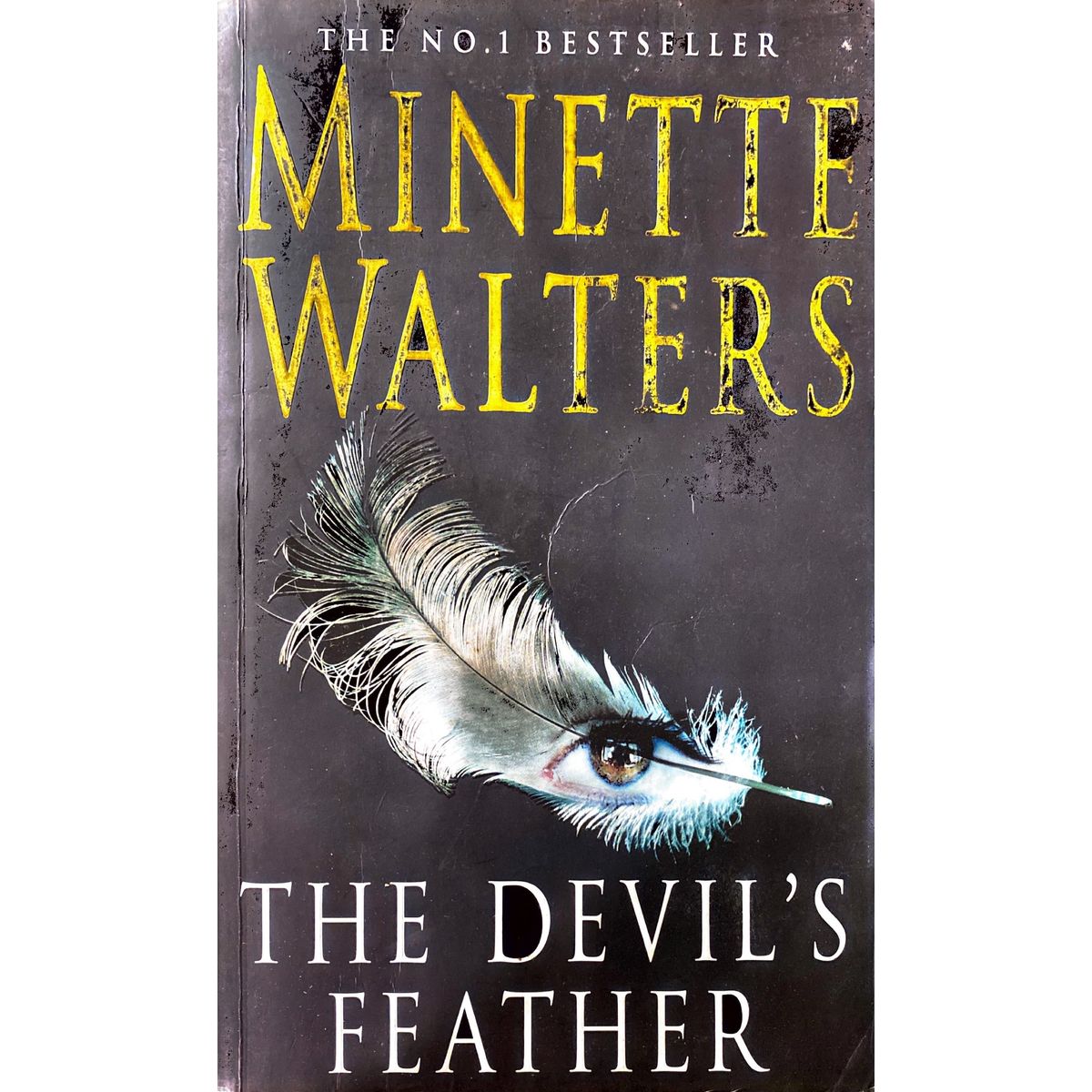 The Devil's Feather by Minette Walters | Fact and Fiction