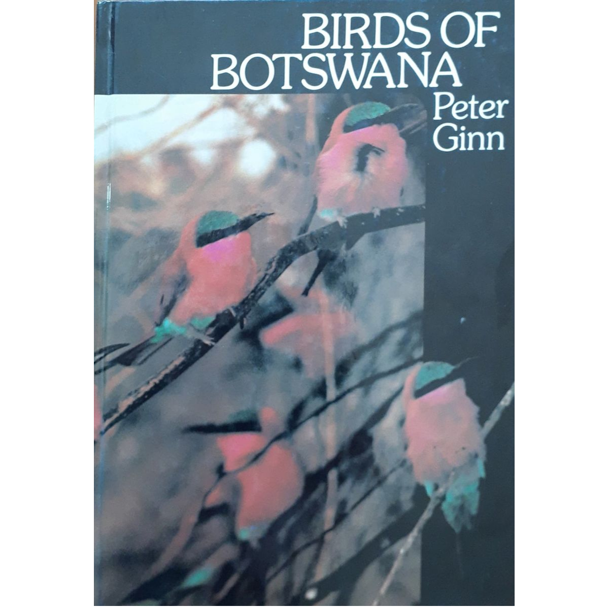 Birds of Botswana by Peter Ginn | Fact and Fiction