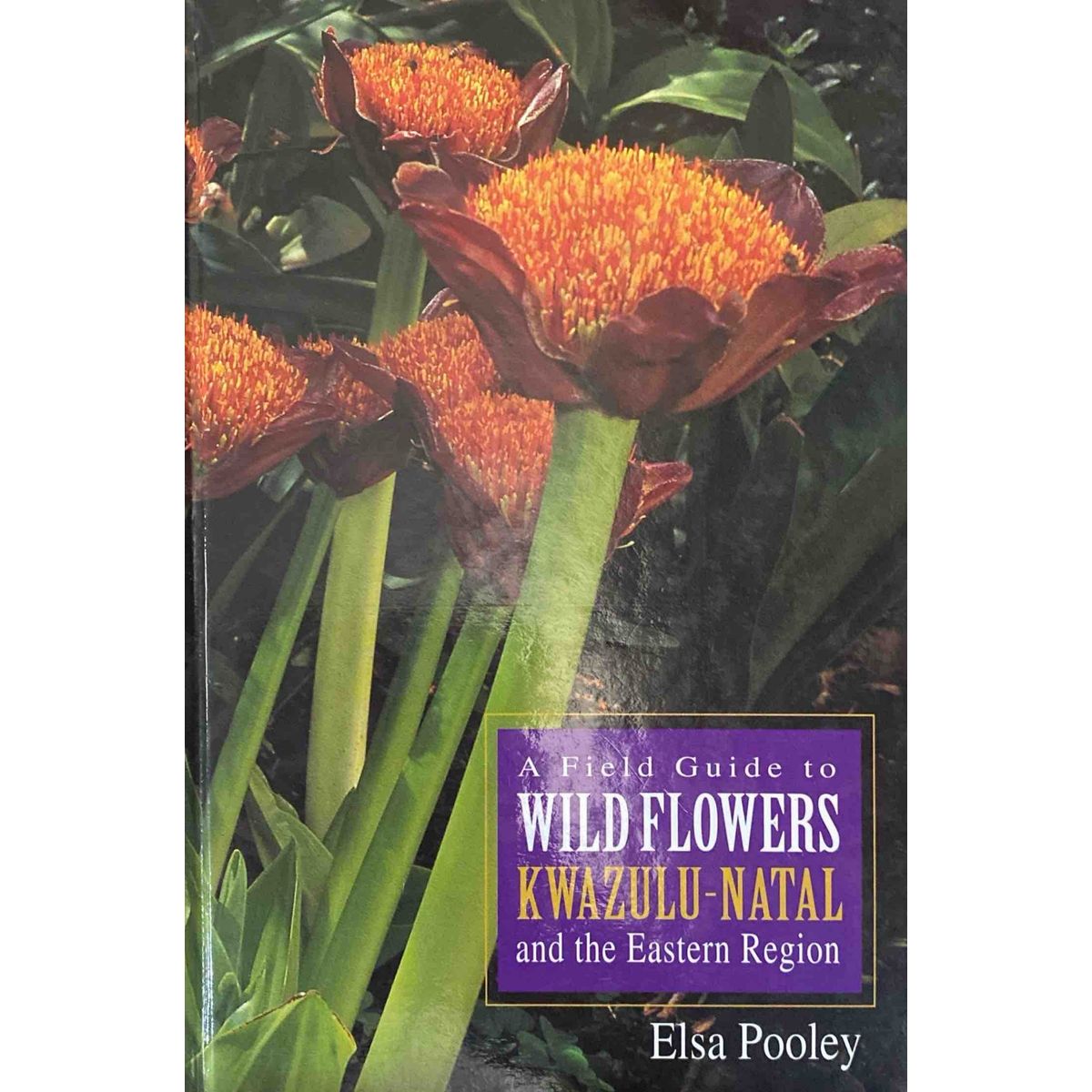 A Field Guide to Wild Flowers KwaZulu-Natal and the Eastern Region by ...