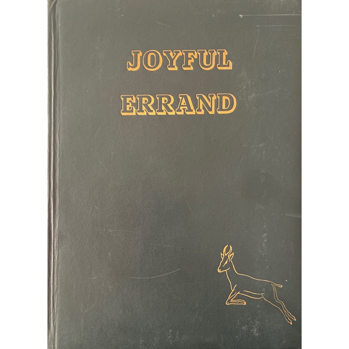 Joyful Errand by C.S. Stokes | Fact and Fiction