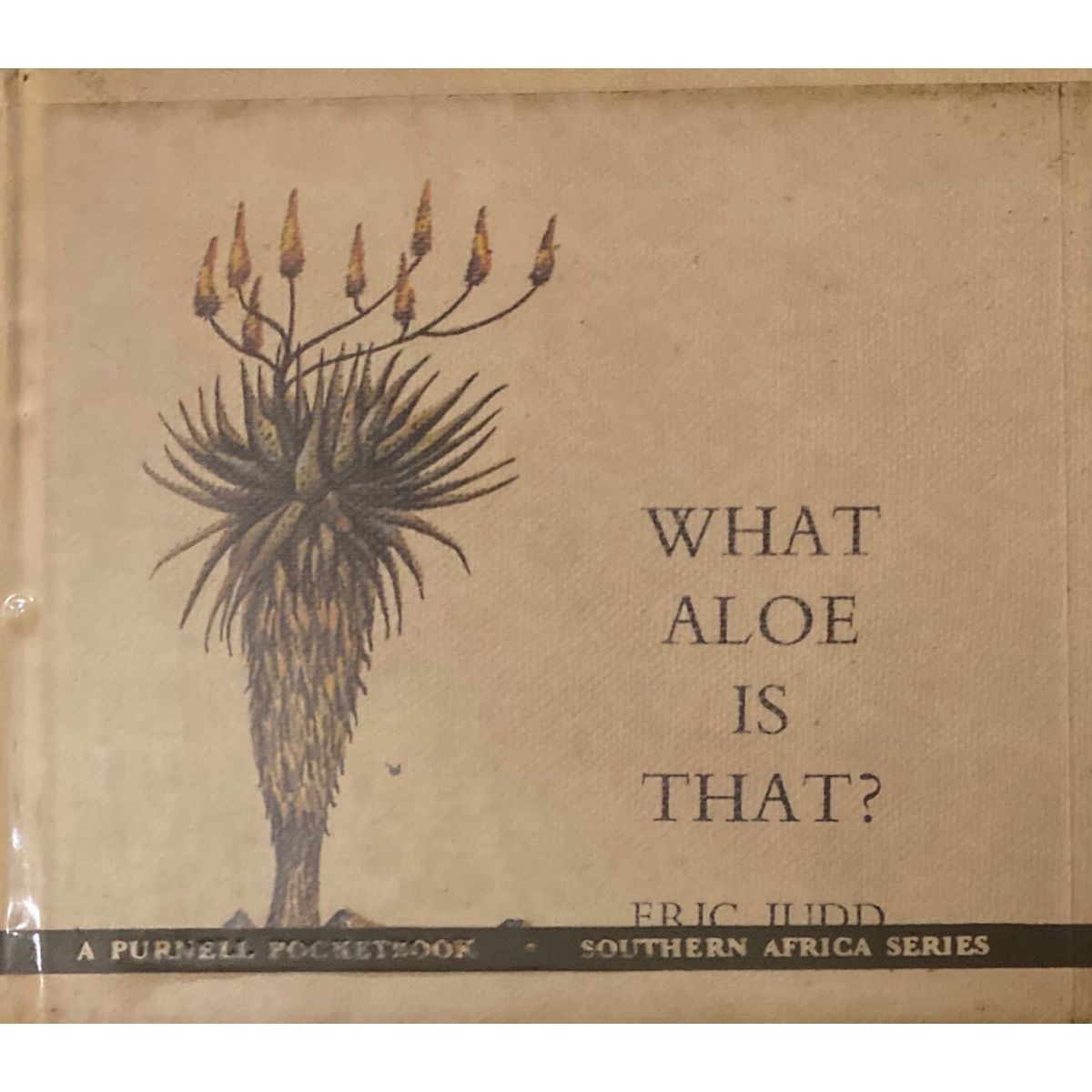What Aloe is That? by Eric Judd | Fact and Fiction