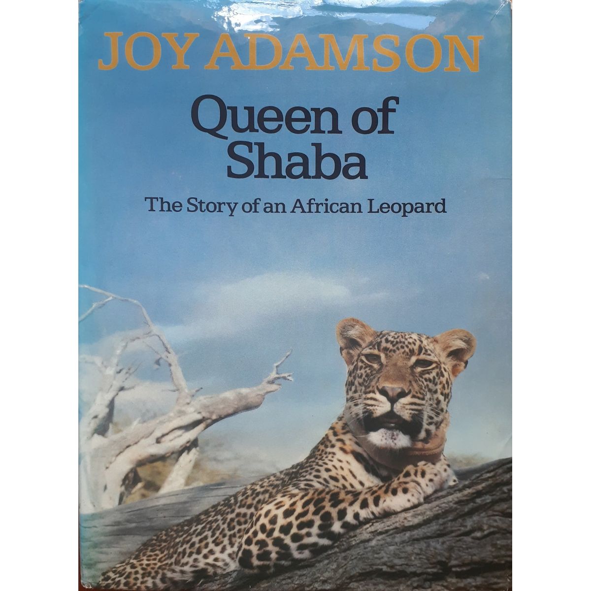 Queen of Shaba by Joy Adamson | Fact and Fiction