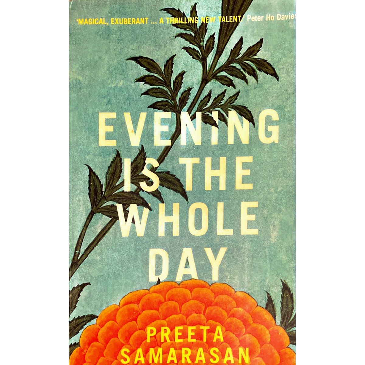Evening Is The Whole Day by Preeta Samarasan | Fact and Fiction