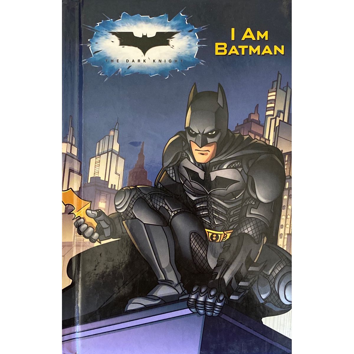 The Dark Knight: I Am Batman by Catherine Hapka | Fact and Fiction