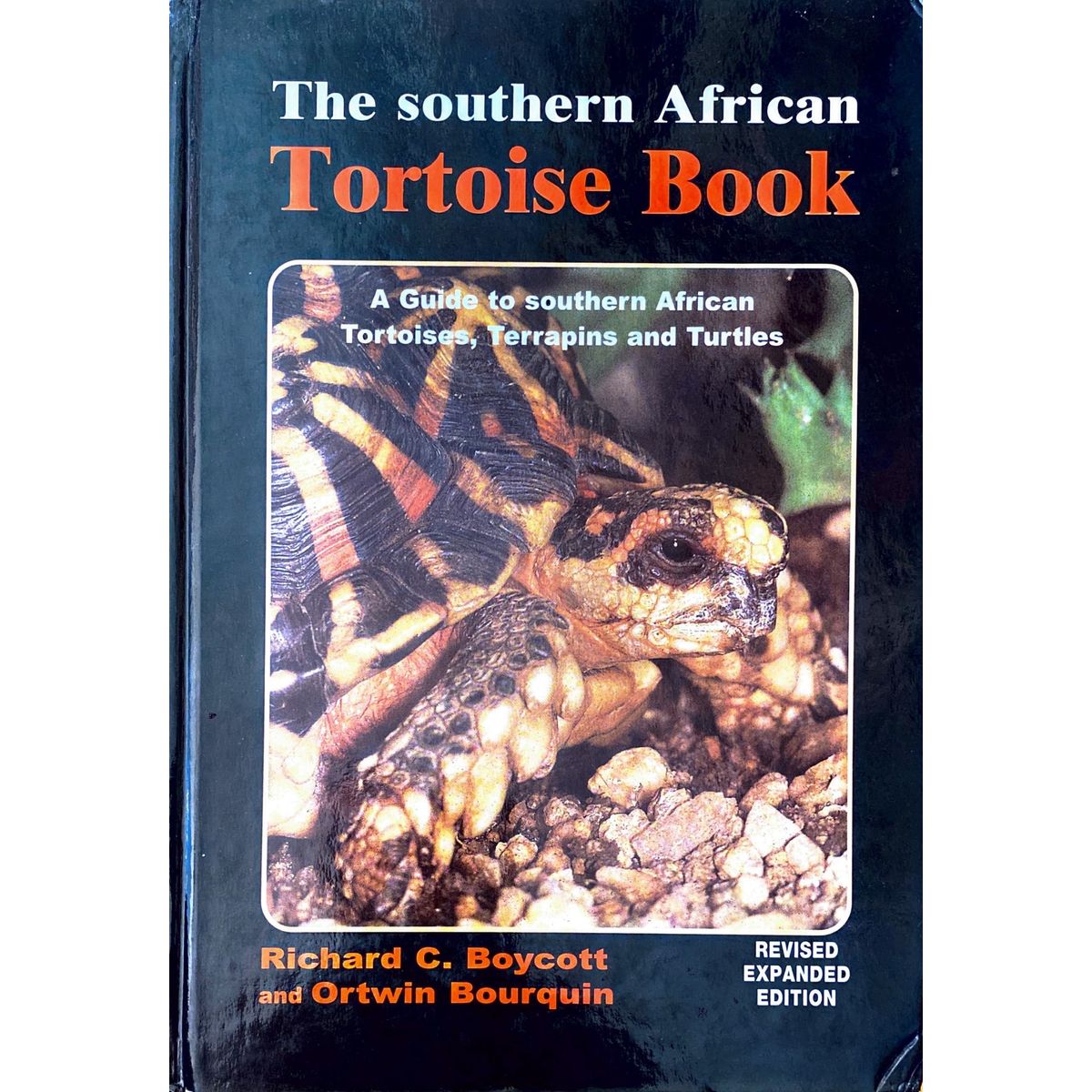 The Southern African Tortoise Book by R.C. Boycott & O. Bourquin | Fact ...