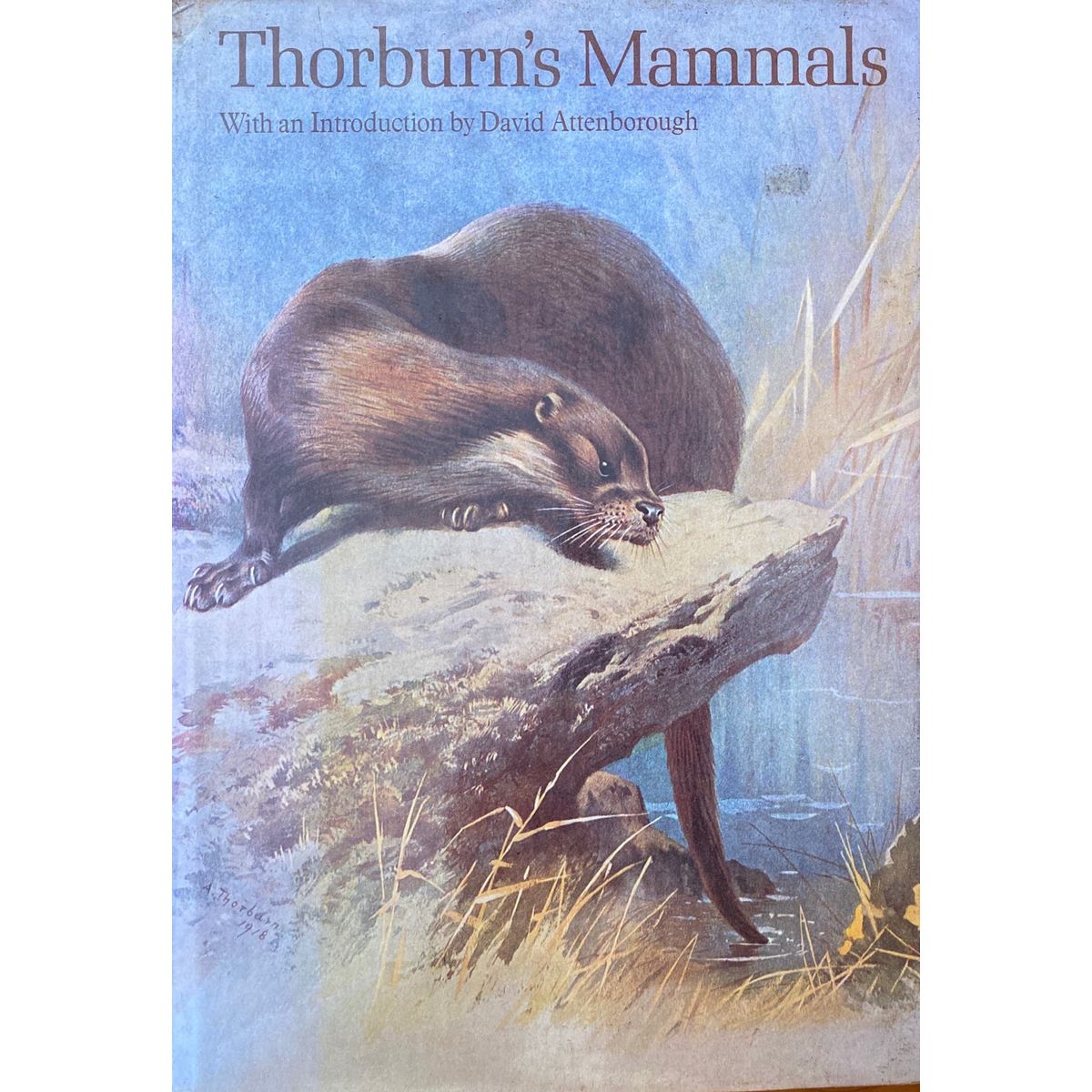 Thorburn's Mammals by Archibald Thorburn & Iain Bishop | Fact and Fiction