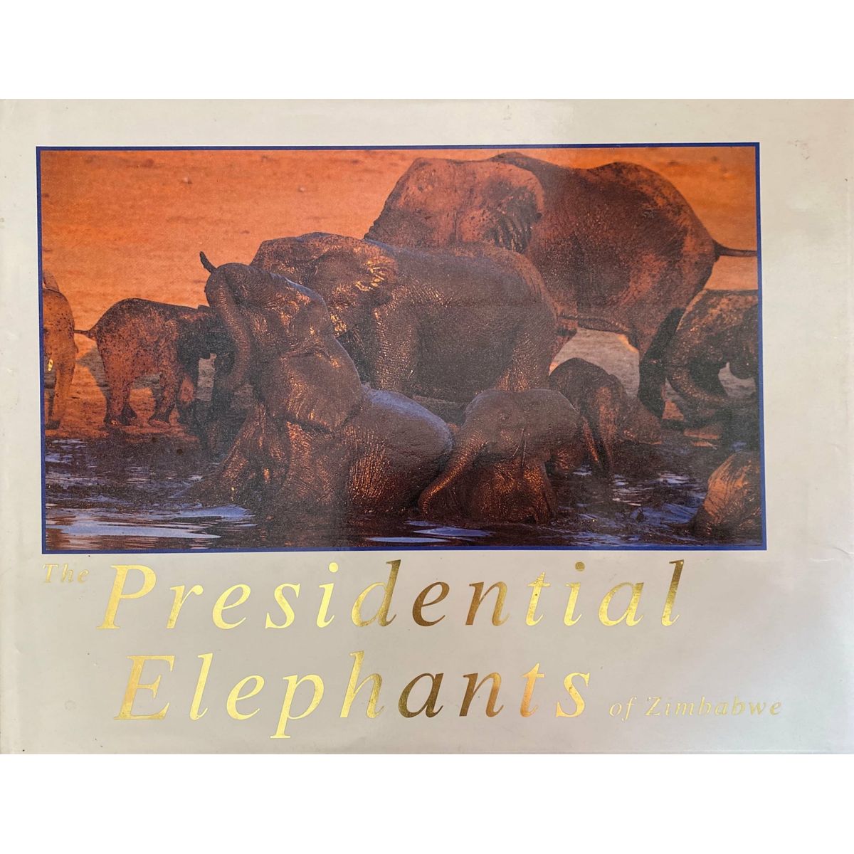 The Presidential Elephants of Zimbabwe by Alan Elliott | Fact and Fiction