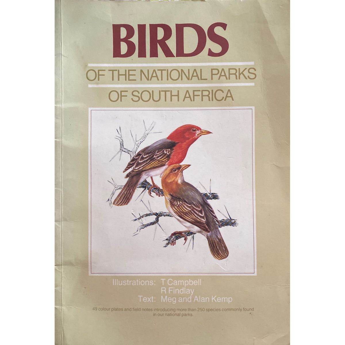 Birds of the National Parks of South Africa by Meg & Allan Kemp | Fact ...