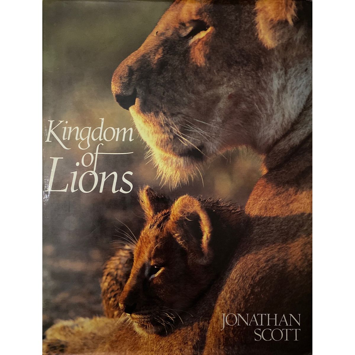Kingdom of Lions by Jonathan Scott | Fact and Fiction