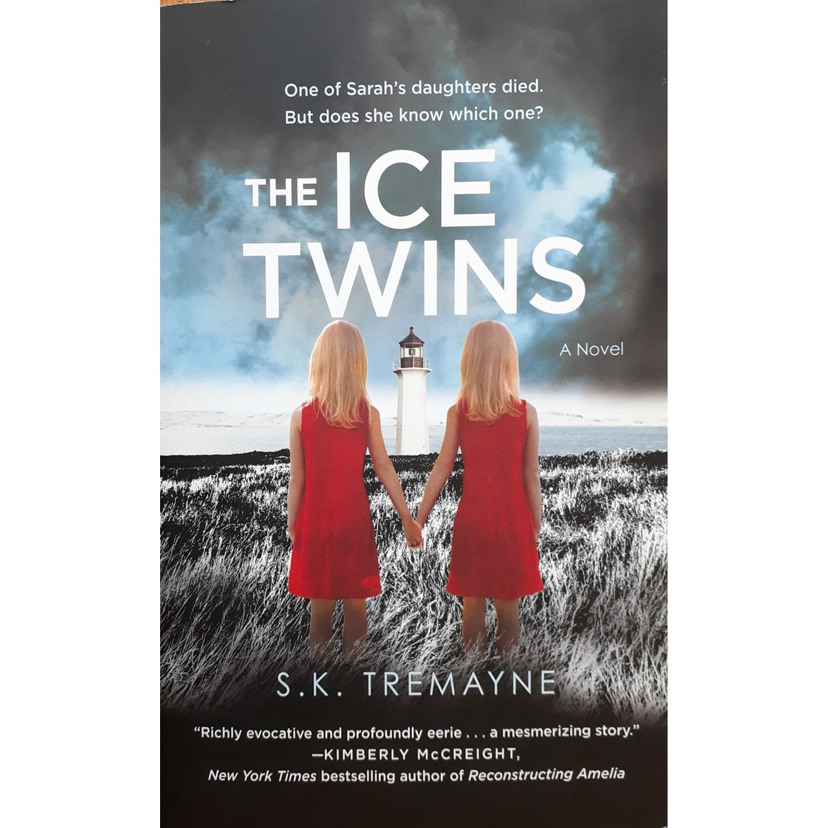 The Ice Twins: A Novel by S.K. Tremayne | Fact and Fiction