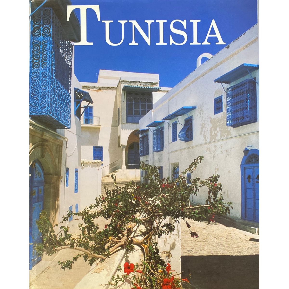 Tunisia by Paolo Rinaldi | Fact and Fiction