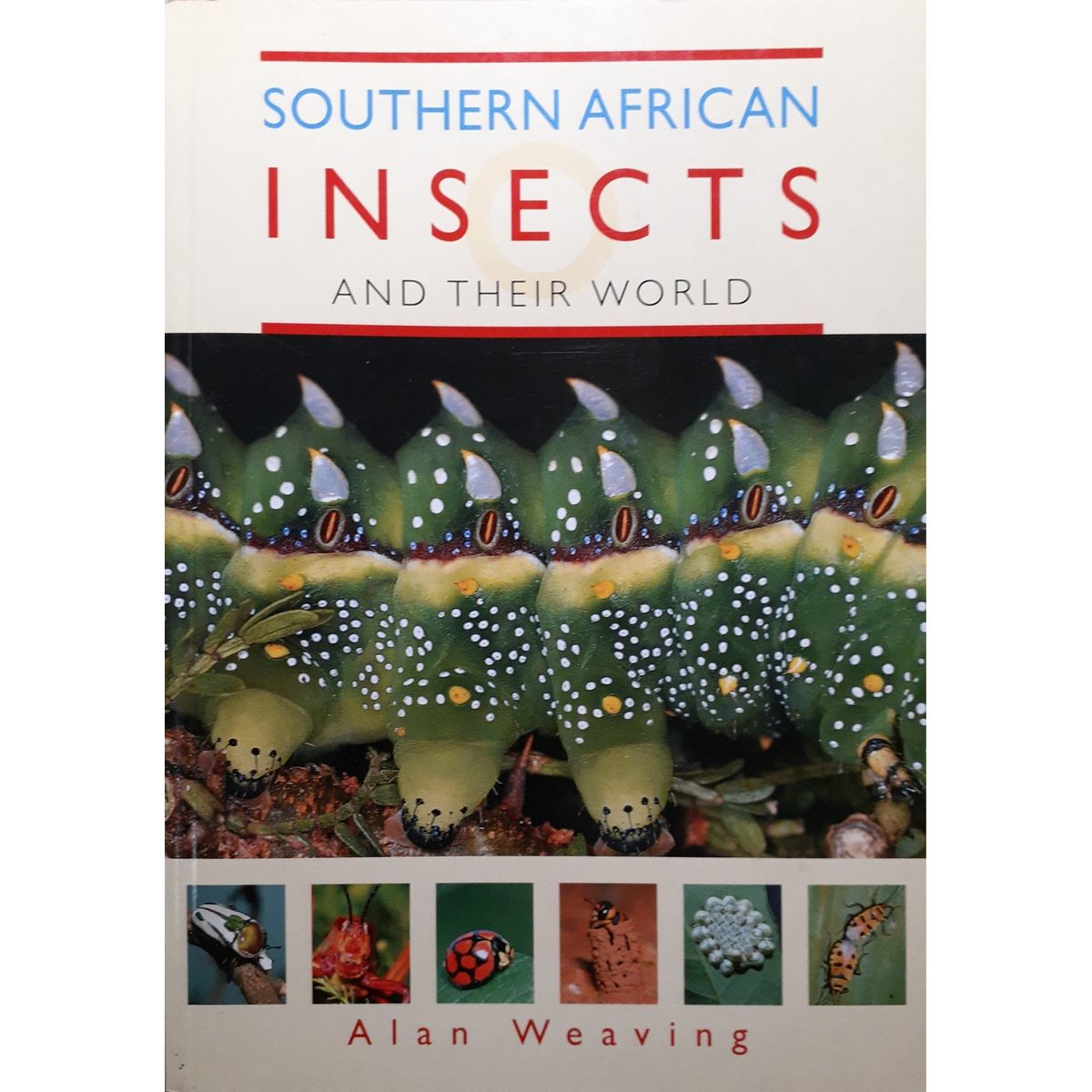Southern African Insects & Their World by Alan Weaving | Fact and Fiction