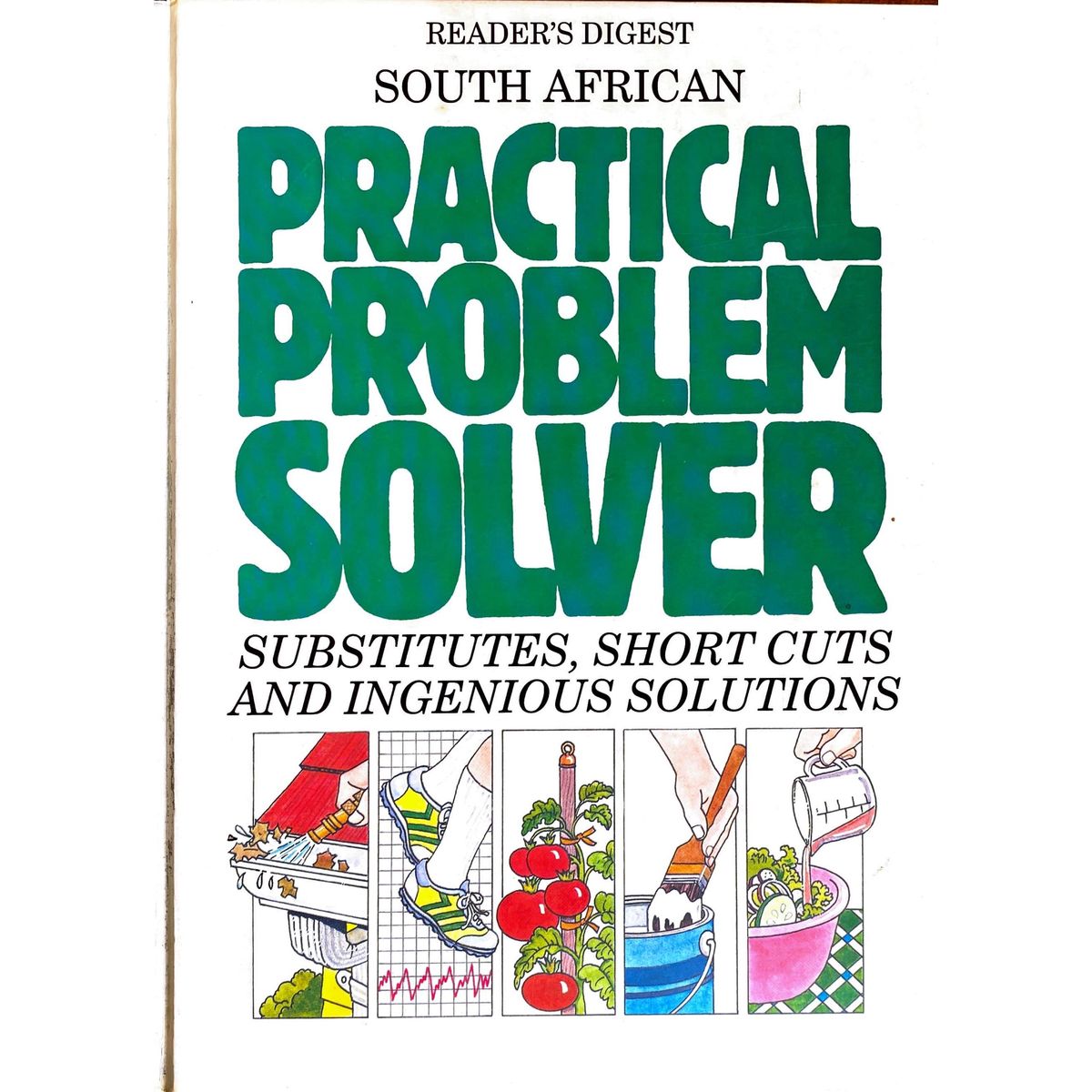 Practical Problem Solver by Lee Fowler & Mary Lyn Maiscott | Fact and ...